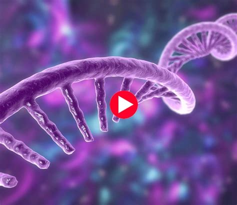 Multimedia Gen Genetic Engineering And Biotechnology News