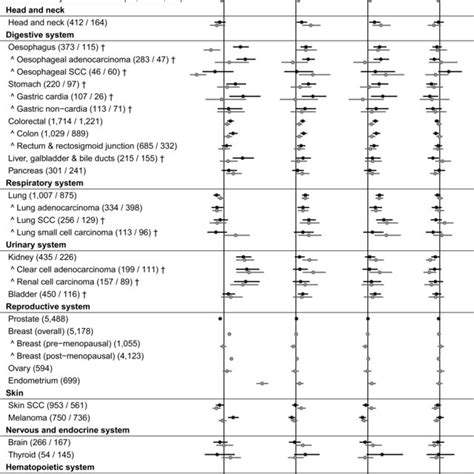 Allometric Body Shape Indices In Relation To Cancer Risk By Sex