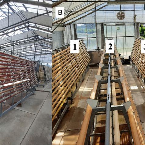 The Photobioreactors Used To Perform The Growth Experiments With P Download Scientific Diagram