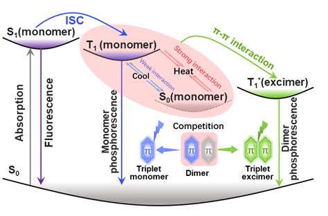 李振教授团队《light Science And Applications》：纯有机室温磷光与三重态激基缔合物 天津市分子光电科学重点实验室