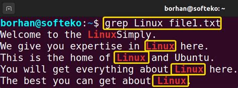 The “grep” Command In Linux [10 Practical Examples]