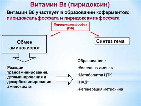 Водорастворимые витамины - презентация онлайн