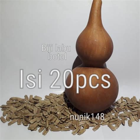 Jual Biji Benih Labu Botol Shopee Indonesia