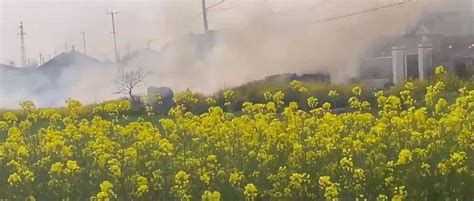 突发疑因上坟引发火情今天下午栟茶一木材仓库烧毁 火灾 扑救 网友