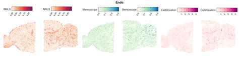 Comparison Of Cell Type Mapping With Nnls • Semla