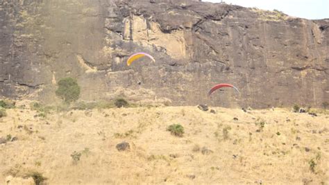 Videohive Paralight After Effects Script For Parallax25d Animation