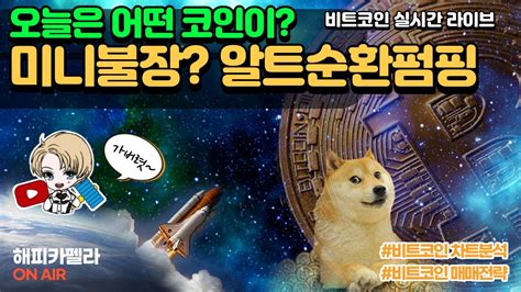 비트코인 실시간 미니불장 알트순환펌핑 중 오늘은 어떤 코인이 1월 10일 아침💎 Youtube