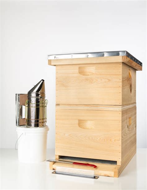 The Anatomy Of The Beehive