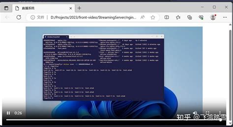 前端视频播放技术概览 知乎