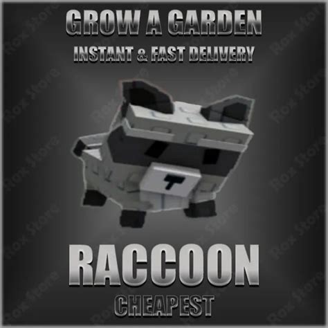 Gag Raccoon Roblox Game Item Gameflip