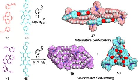 Formation Of Heteroleptic Complex 47 Favored By Aromatic Stacking