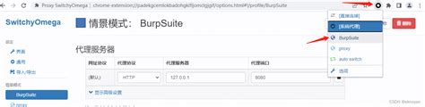 burpsuite 代理和浏览器设置 burpsuite代理设置 csdn博客