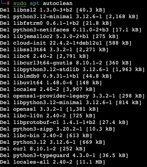 how to safely update kali linux