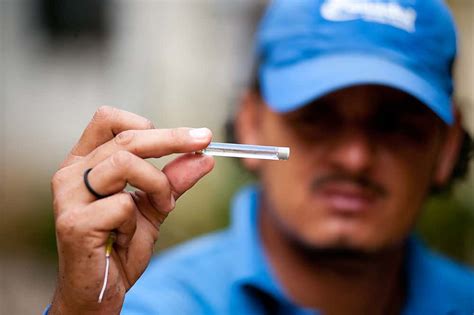 Dengue Cases Spike In Costa Rica