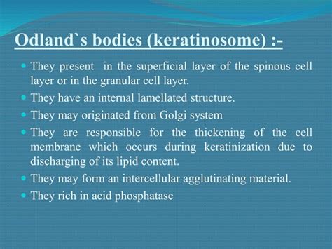 Oral Mucosa Seminar Definition And Characteristics Ppt