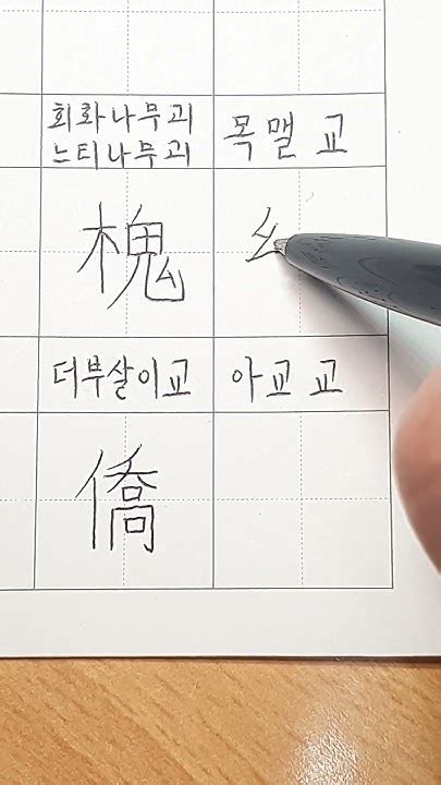 2급한자 011 회화나무 괴 더부살이 교 목맬 교 아교 교 Hanja Koreanhanja 한자쓰기 한자학습 한자 Youtube