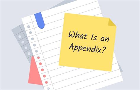 The Full Guide On Writing An Appendix Structure Format And Examples