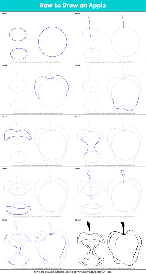 How To Draw An Apple Fruits Step By Step DrawingTutorials101 Com
