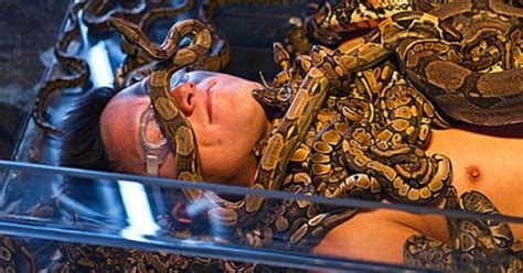 Fear Factor Is Coming Back So Get Ready To Lose Your Lunch All Over Again Maxim