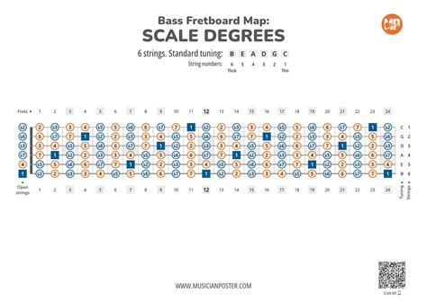 6 String Bass Printable Fretboard Map With Scale Degrees