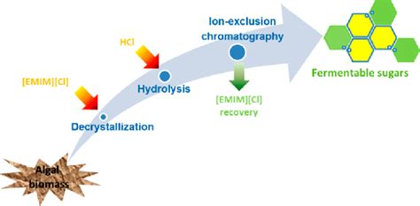 Il Based Hydrolysis Of Chlorella Biomass For Fermentable Sugars Download Scientific Diagram