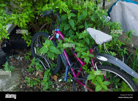 Hero Ranger Swing Cycle Old Model Outlet Seller Dpise2022dpsuminhopt