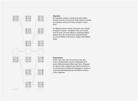 Cybernetics And Service Craft Language For Behavior Focused Design