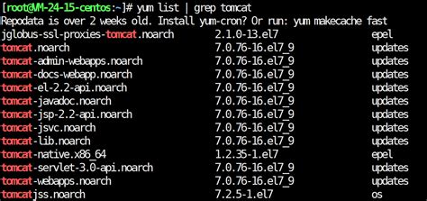 快速上手 Linux环境配置 基本指令与项目部署要点linux系统基本项目 Csdn博客