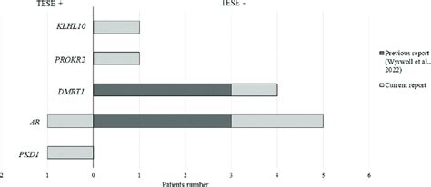 Tese Outcome Associated To Mutant Genes Relation Between Mutant Gene Download Scientific