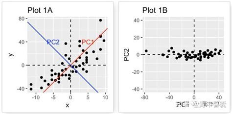 Pca R Pca
