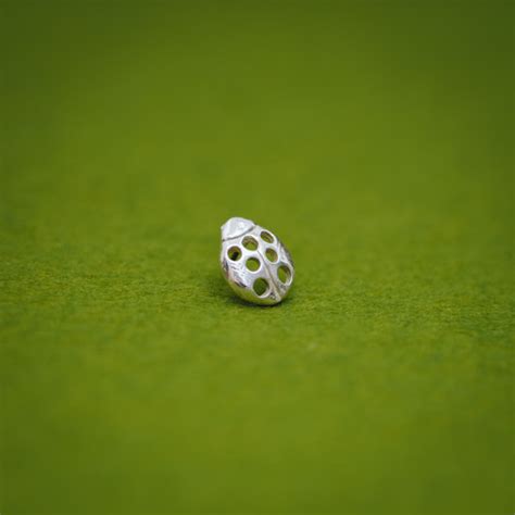 Ladybug Pin Brooch Atelier Shinji Ginza