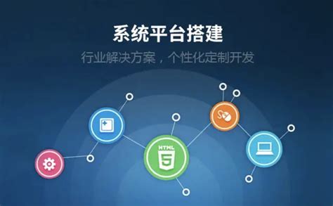 罗缇克新能源汽车销售管理系统定制开发案例 上海魁鲸科技 上海魁鲸科技