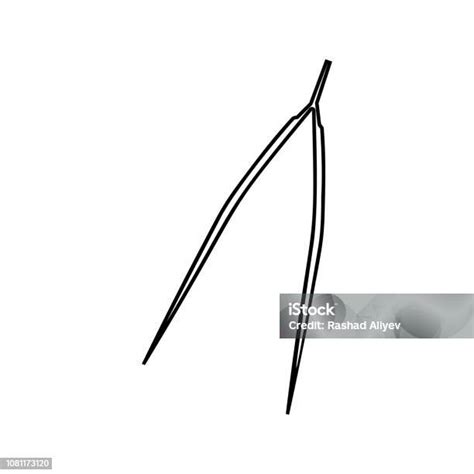 의료 핀셋 아이콘입니다 모바일 개념 및 웹 애플 리 케이 션 아이콘에 대 한 사이버 보안의 요소입니다 웹사이트 디자인 및 개발 응용 프로그램 개발에 대 한 얇은 라인 아이콘