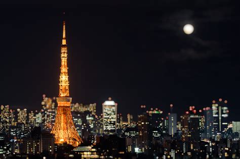 Understanding AI Powered Noise Reduction