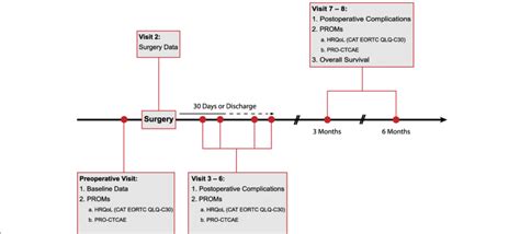 Patient Flow Chart Cat Computer Adaptive Testing Version Ctcae Common