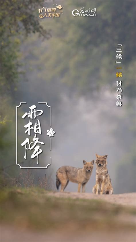 【节气里的大美中国】节气plog丨霜降：最是橙黄橘绿时 光明网