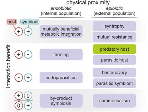 Prototypical Ecological Interactions Of Host And Symbiont Enabling Download Scientific Diagram
