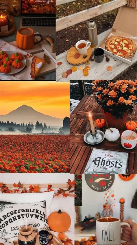 Fall Mood Board Fall Mood Board Aesthetic Fall Mood Board Aesthetic