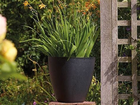 Basalt Low Garden Planter