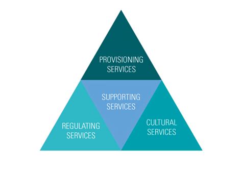 The Triangle Of Ecosystem Services Text In Corners Regulating Services Cultural Services