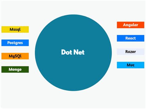 dot net net core site with mvc spa upwork