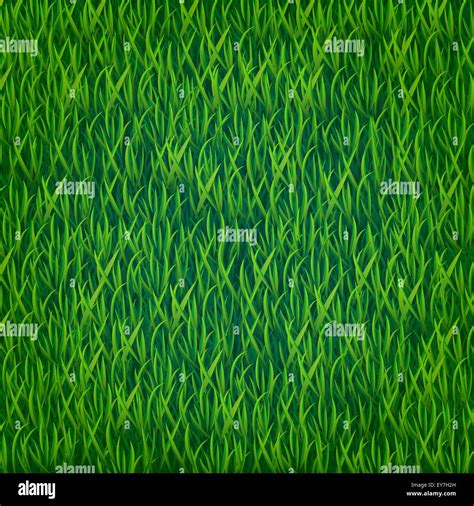 Vector Green Grass Background Stock Vector Image And Art Alamy