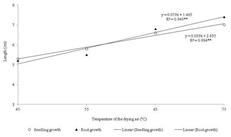 Growth And Seedling Roots Of Sunflower Seeds After Drying Download Scientific Diagram