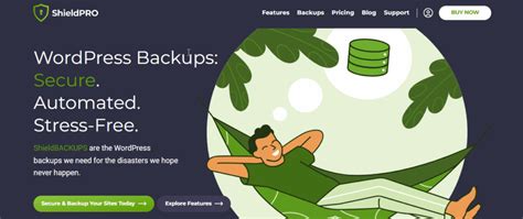 Shield Your Network Top Multisite Backup Plugins For Wordpress Shield Security