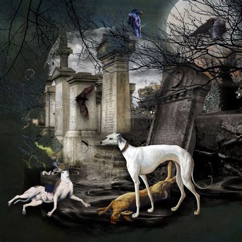 Kit Strange Behavior By Foxeysquirrel Kit Strange Behavior Addon By