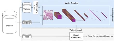 A Schematic View Of A Deep Learning Pipeline For Image Analysis