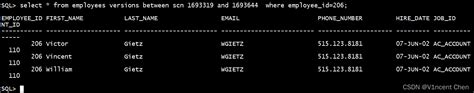 oracle闪回技术详解及应用 oracle 闪回查询语句 csdn博客