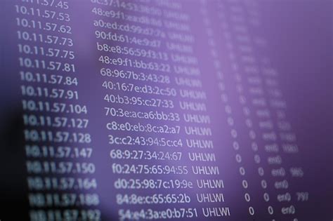 Premium Photo Web Site Codes On Computer Monitor