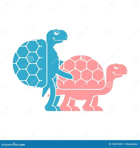 Turtle Sex Tortoise Intercourse Reptile Isolated Stock Vector