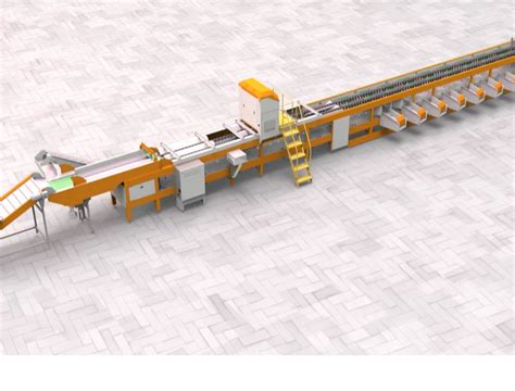 Fruit Sorting Machine At Rs 2500000 Fruit Sorting Machine In